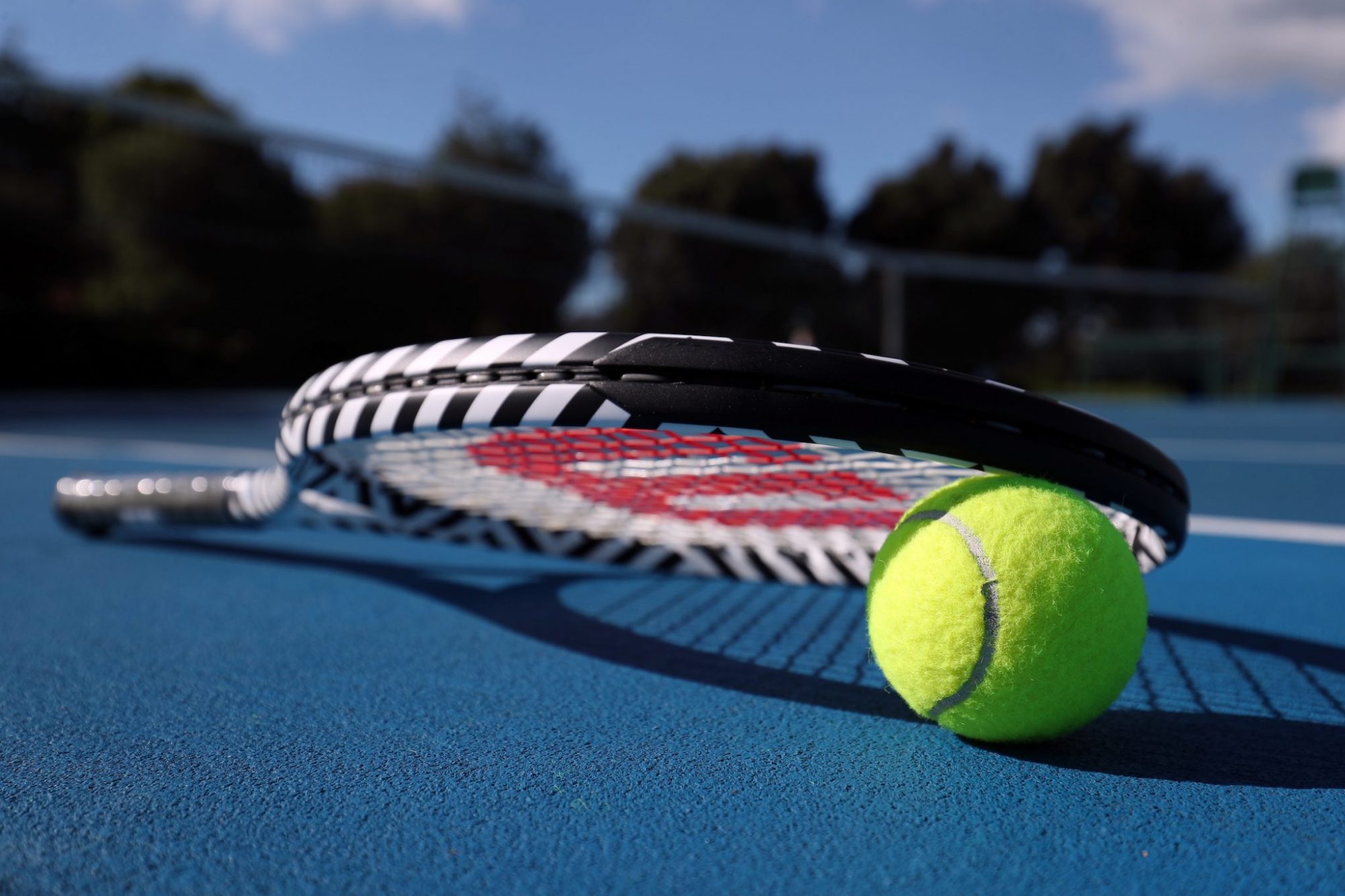 News - Tennis Auckland